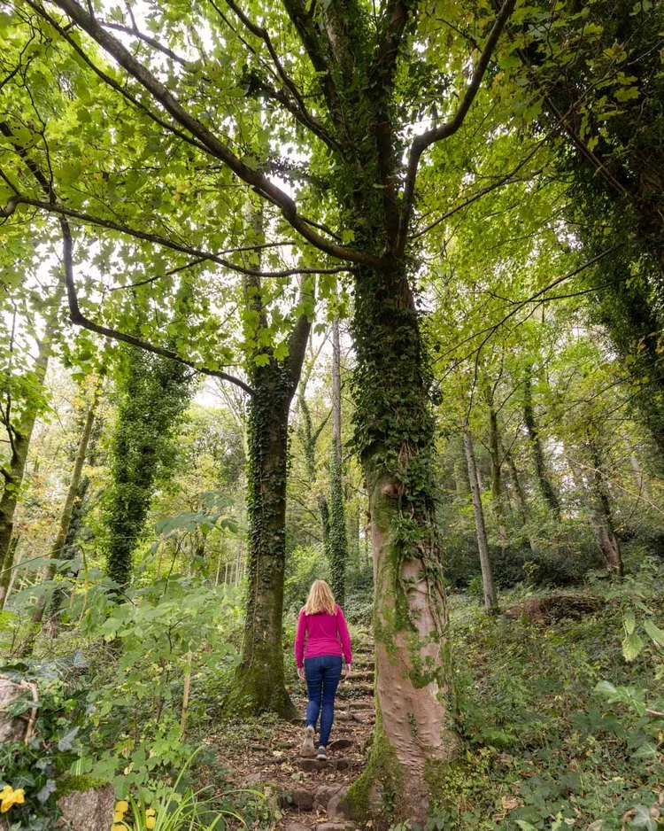 The Giggle Alley Japanese Garden: Eskdale's hidden autumn wonderland ...