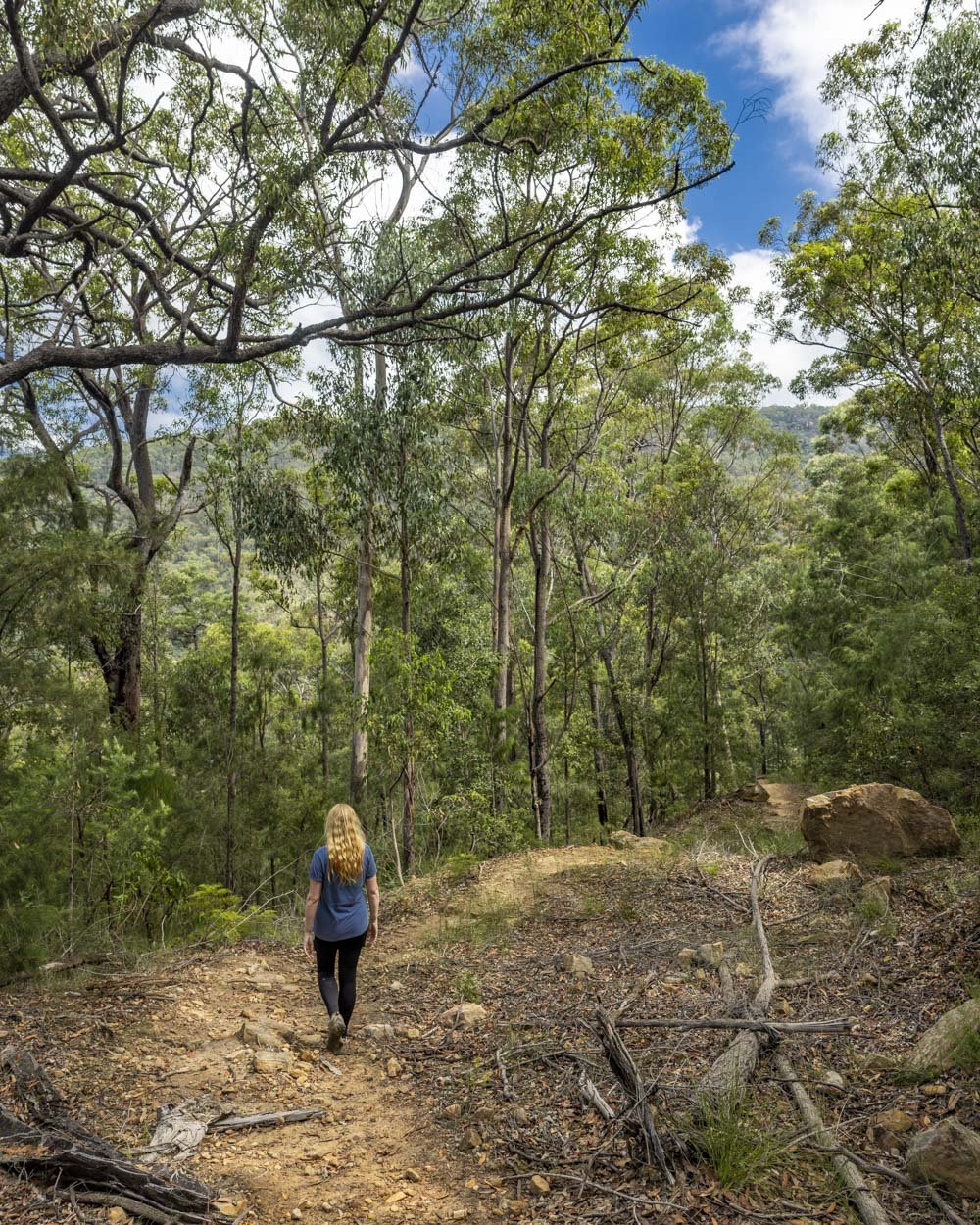 The spectacular Vale of Avoca Track: remote beaches and crystal clear ...