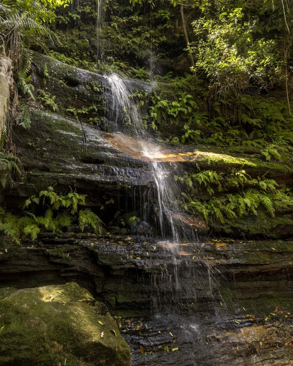 The stunning swimming holes of the Terrace Falls Track — Walk My World