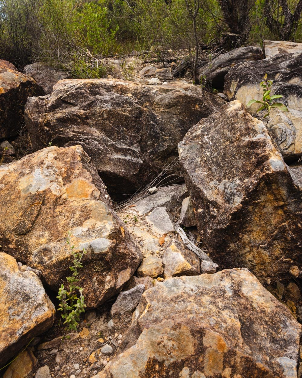 Exactly how to find the Central Coast's incredible Mega Cave — Walk My ...