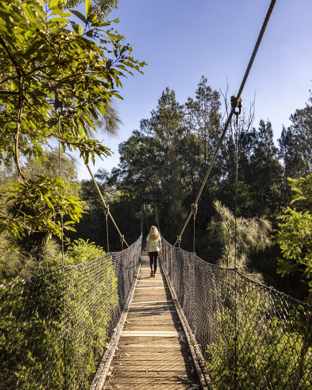 Bens Walk Nowra: caves, a suspension bridge and a hidden Aboriginal art ...