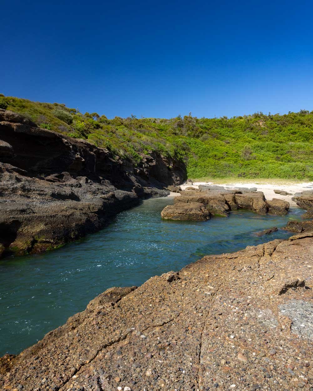 Hales Bluff Rock Channels: a hidden gem in Catherine Hill Bay — Walk My World