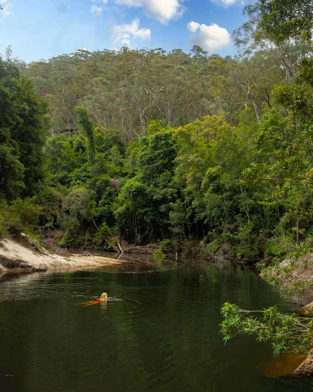 Florabella Pass: a picturesque dog friendly walk in the Blue Mountains ...