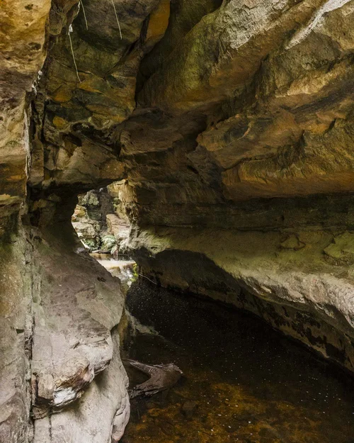 Walls Cave: an easy cave and canyon walk in Blackheath — Walk My World