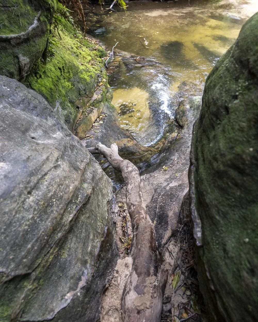 Asmodeus Pool: the hidden canyon waterfall at Wentworth Falls — Walk My ...