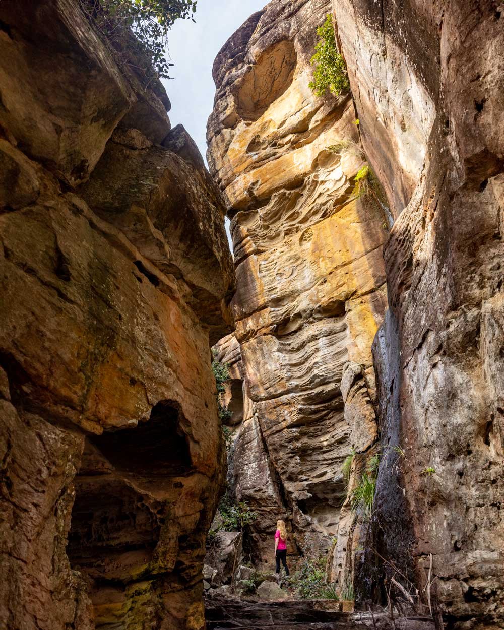 How to find the Bugong secret grotto near Nowra — Walk My World