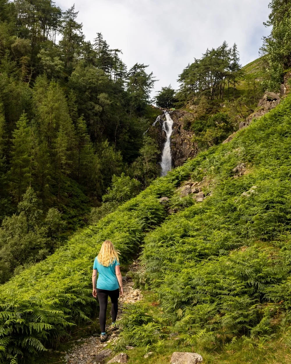 Taylor Gill Force: the quickest route to one of the tallest waterfalls ...