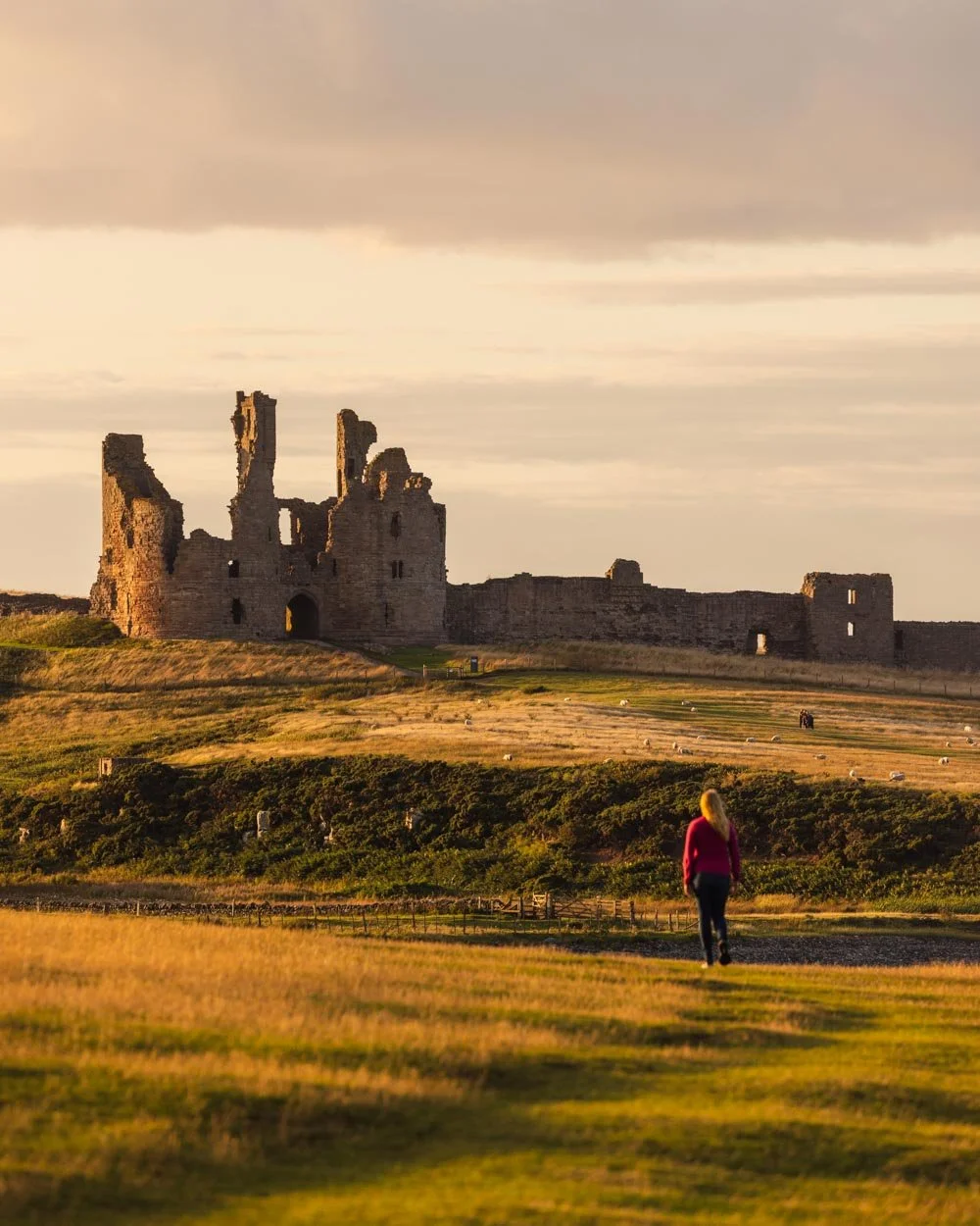 Craster to Dunstanburgh Castle Walk: is this Northumberland's best ...