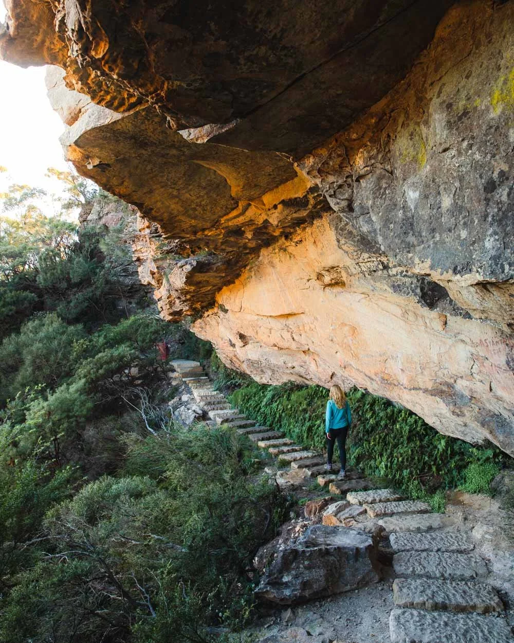 15 incredible easy walks in the Blue Mountains — Walk My World