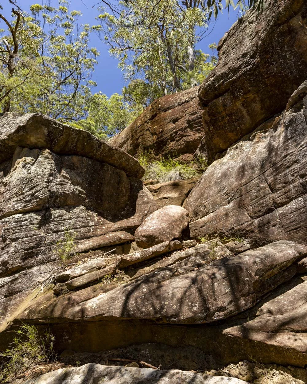 The Duck Hole: an easy Blue Mountains beach day — Walk My World