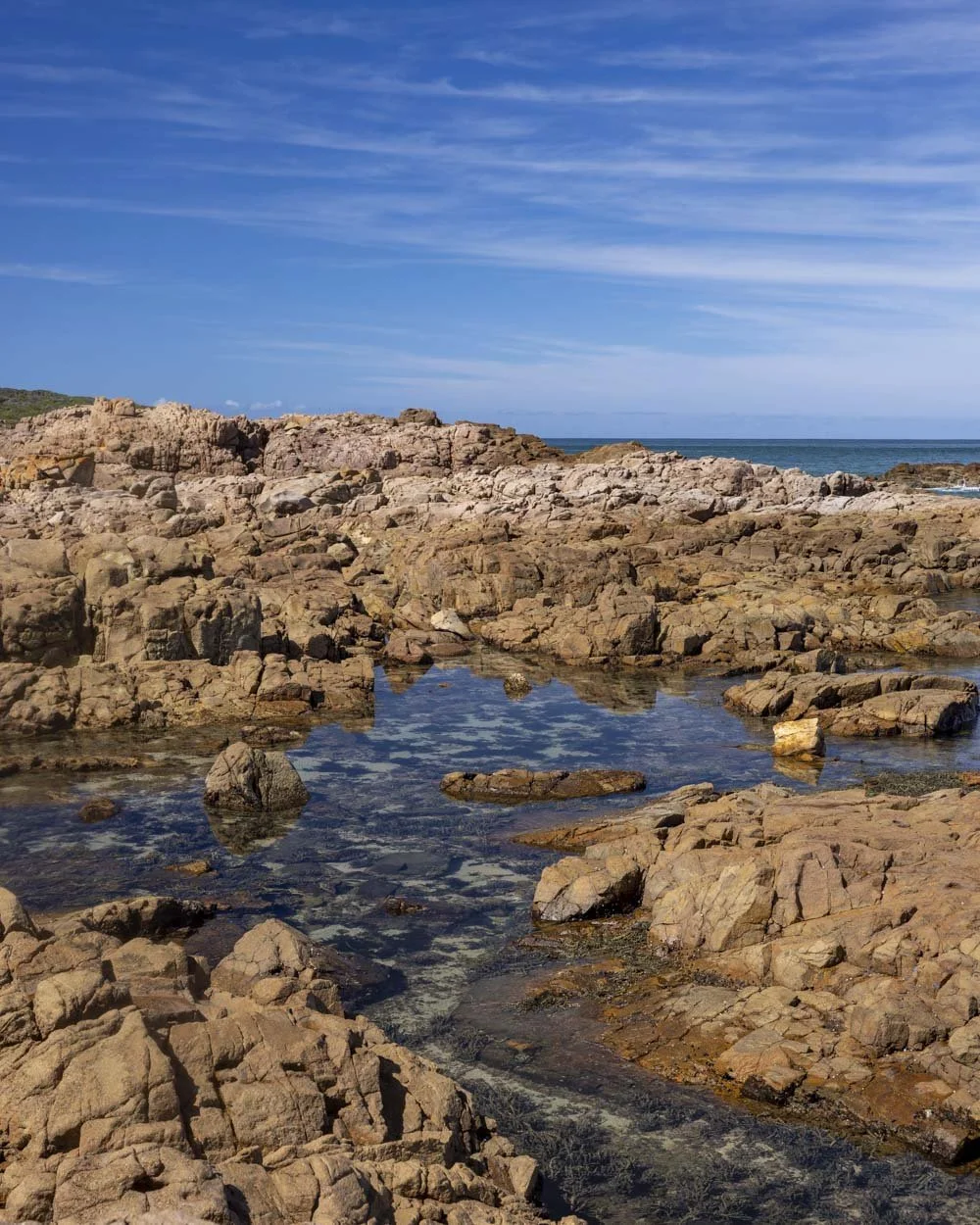 Iris Moore Rockpools: beautiful easy to access rockpools in Port ...