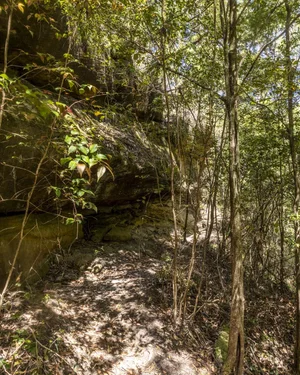 Sharks Head Cave Circuit: epic swimming holes and a hidden cave — Walk ...