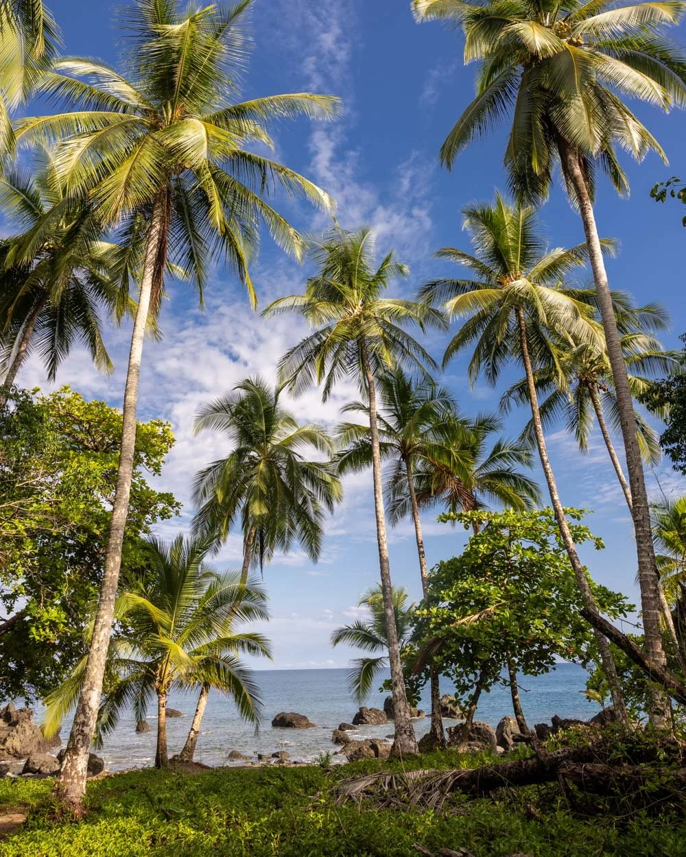 Drake Trail: a wild hike and a taste of Corcovado without the entry fee ...