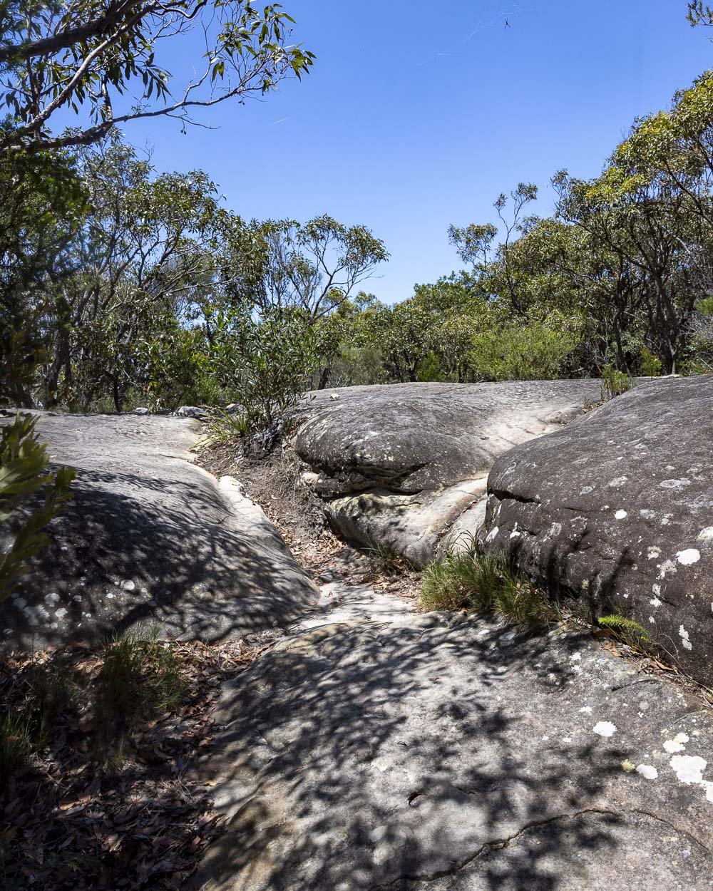 Iron Ladder Beach: is this the Central Coast's most adventurous beach ...