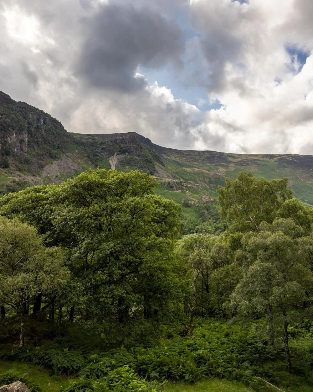 The Bowder Stone and the beautiful easy walk beyond — Walk My World