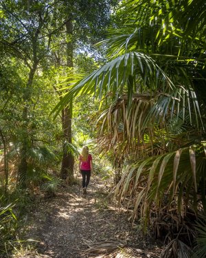 Flint and Steel Beach and beyond: the best wild swimming beaches in Ku ...