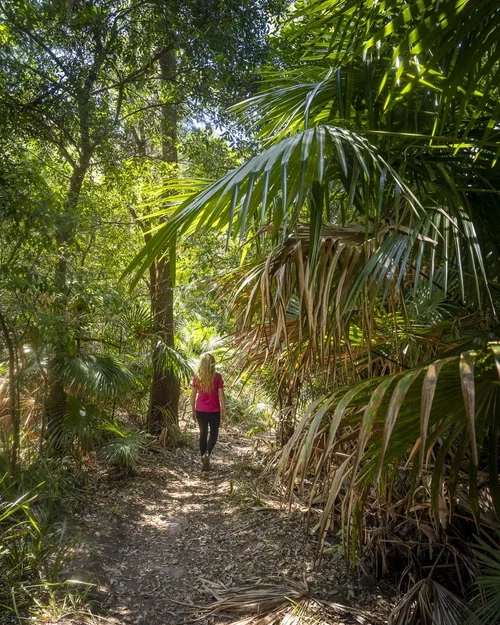 Flint and Steel Beach and beyond: the best wild swimming beaches in Ku ...
