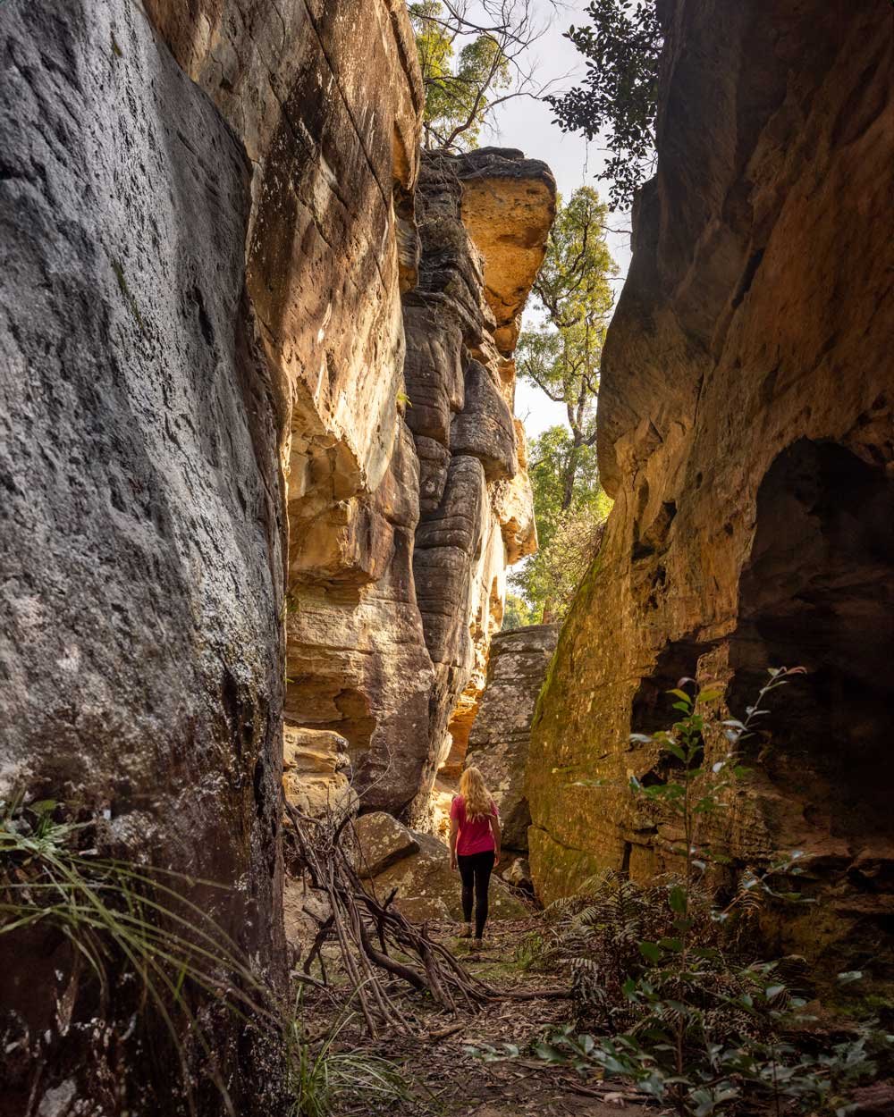 How to find the Bugong secret grotto near Nowra — Walk My World