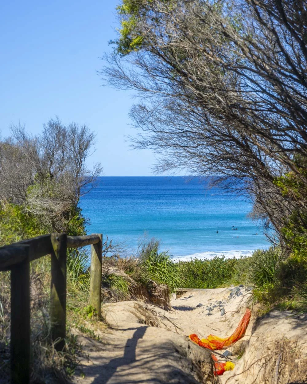 Tips for visiting the Bendalong stingrays (and a secret sea cave nearby ...