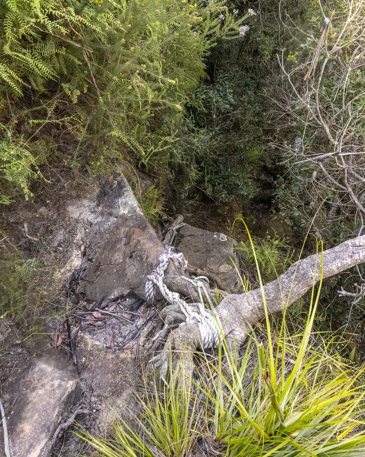How to find the secret swimming hole at Ku-ring-gai's Lower Gledhill ...
