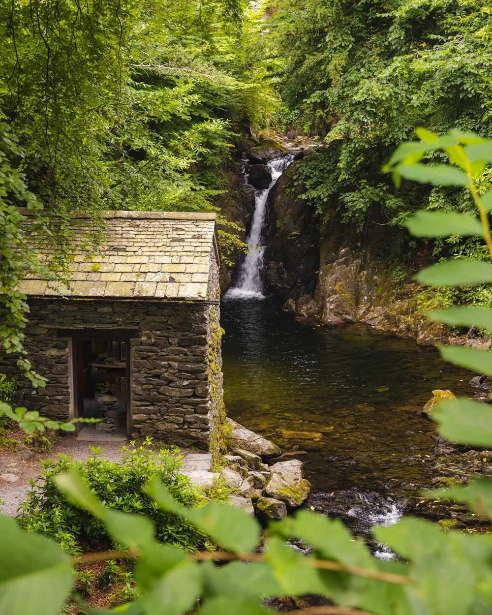 16 amazing things to do in Grasmere including the best of its wild side ...