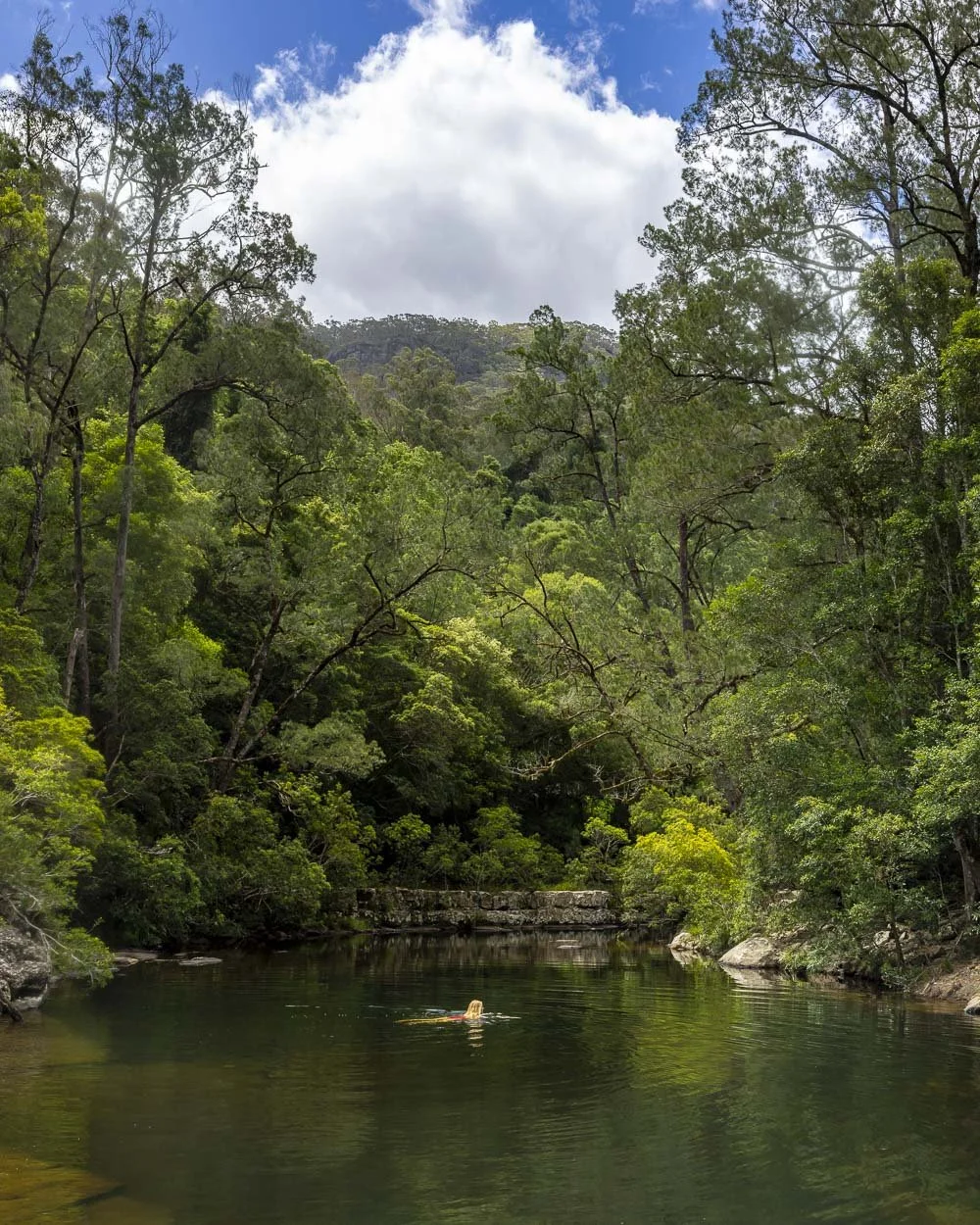 Lone Palm Pool: is this Kangaroo Valley's best hidden swimming spot ...