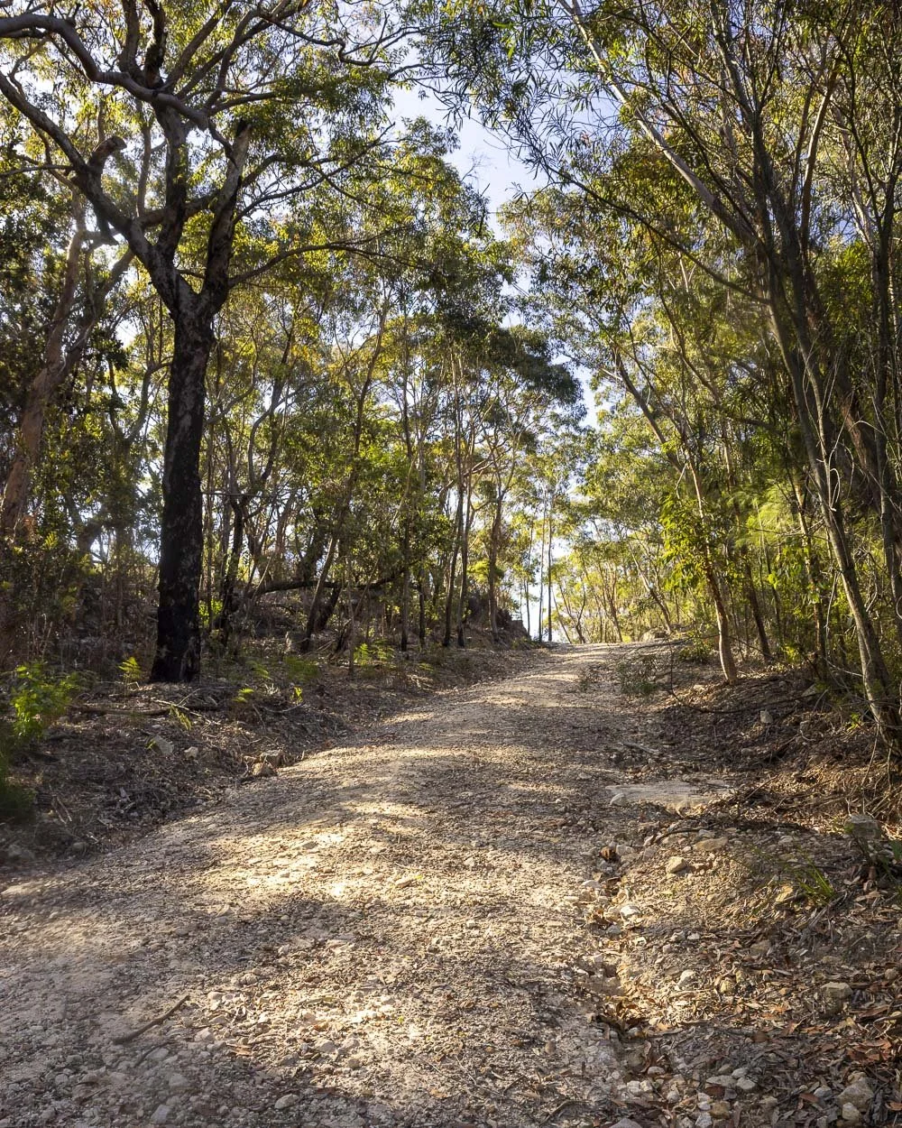 Jingga Pool and the secret swimming spots beyond — Walk My World