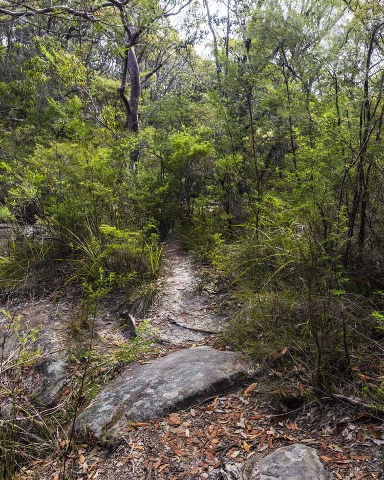 Pearly Ponds: a family friendly swimming hole on the Central Coast ...