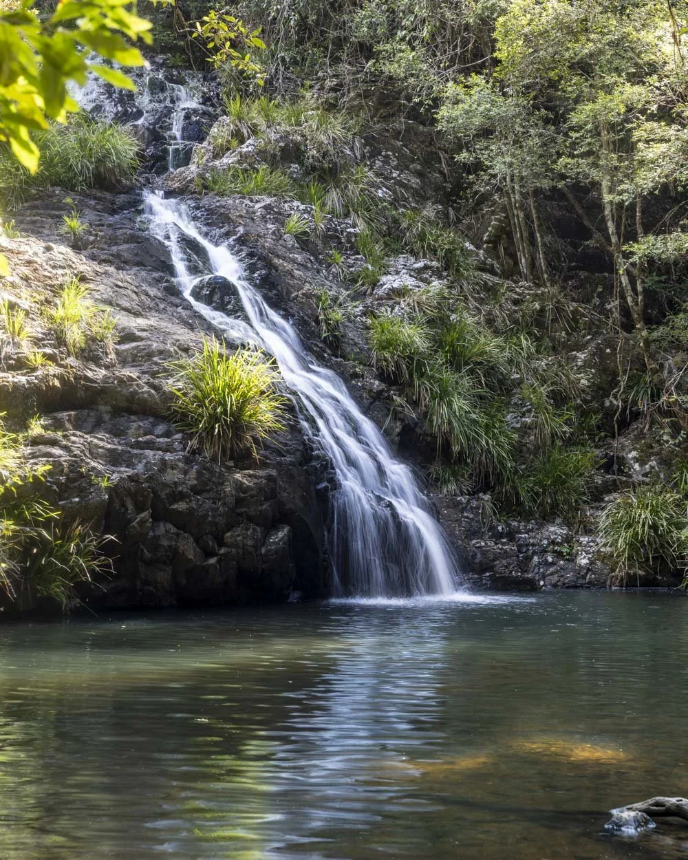 Mobong Cascades: pretty rainforest swimming holes close to Coffs ...