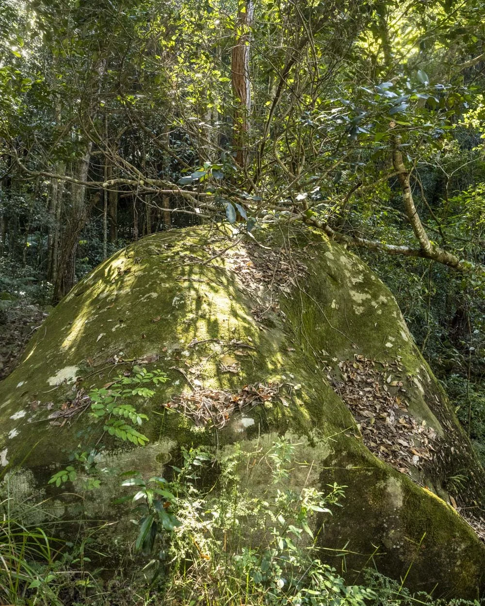 Faulconbridge Point: secluded wild swimming & epic sunset spot in the ...