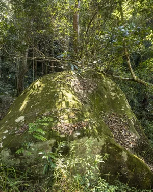 Faulconbridge Point: secluded wild swimming & epic sunset spot in the ...