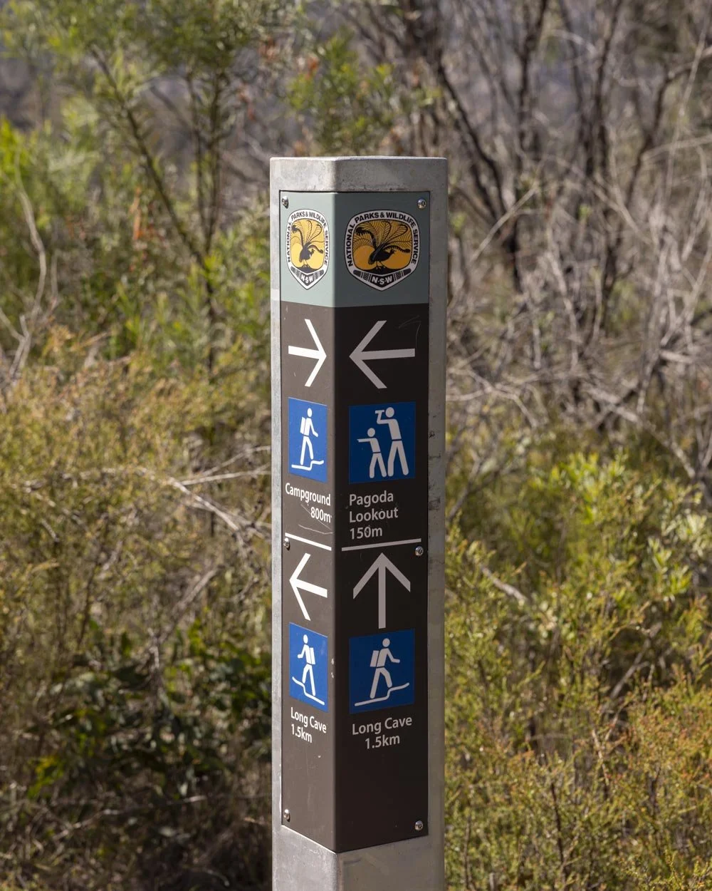 Ganguddy Dunns Swamp Weir Walk: amazing views, wild swimming and a cool ...