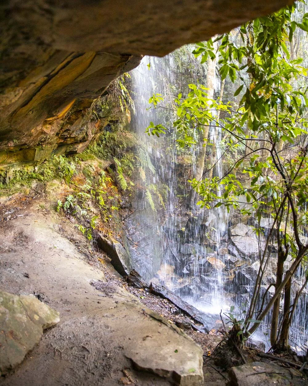The Transit of Venus: three pretty waterfalls on one trail — Walk My World