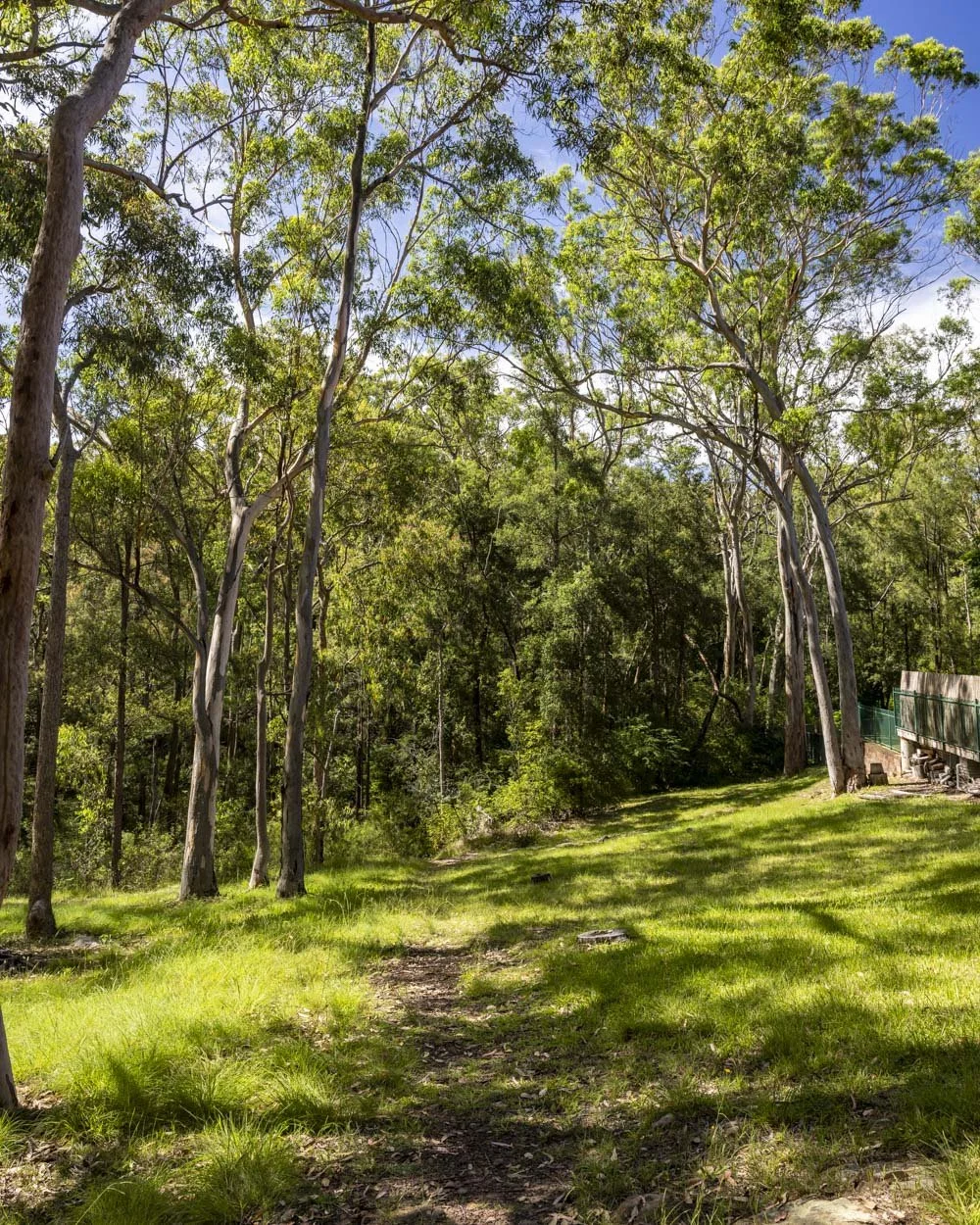 The Duck Hole: an easy Blue Mountains beach day — Walk My World