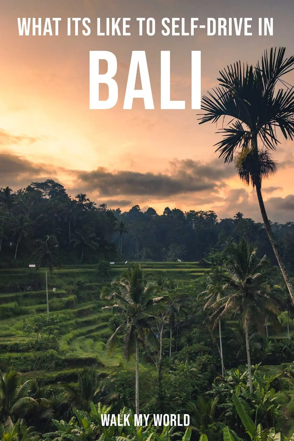 11 things to know before driving in Bali — Walk My World