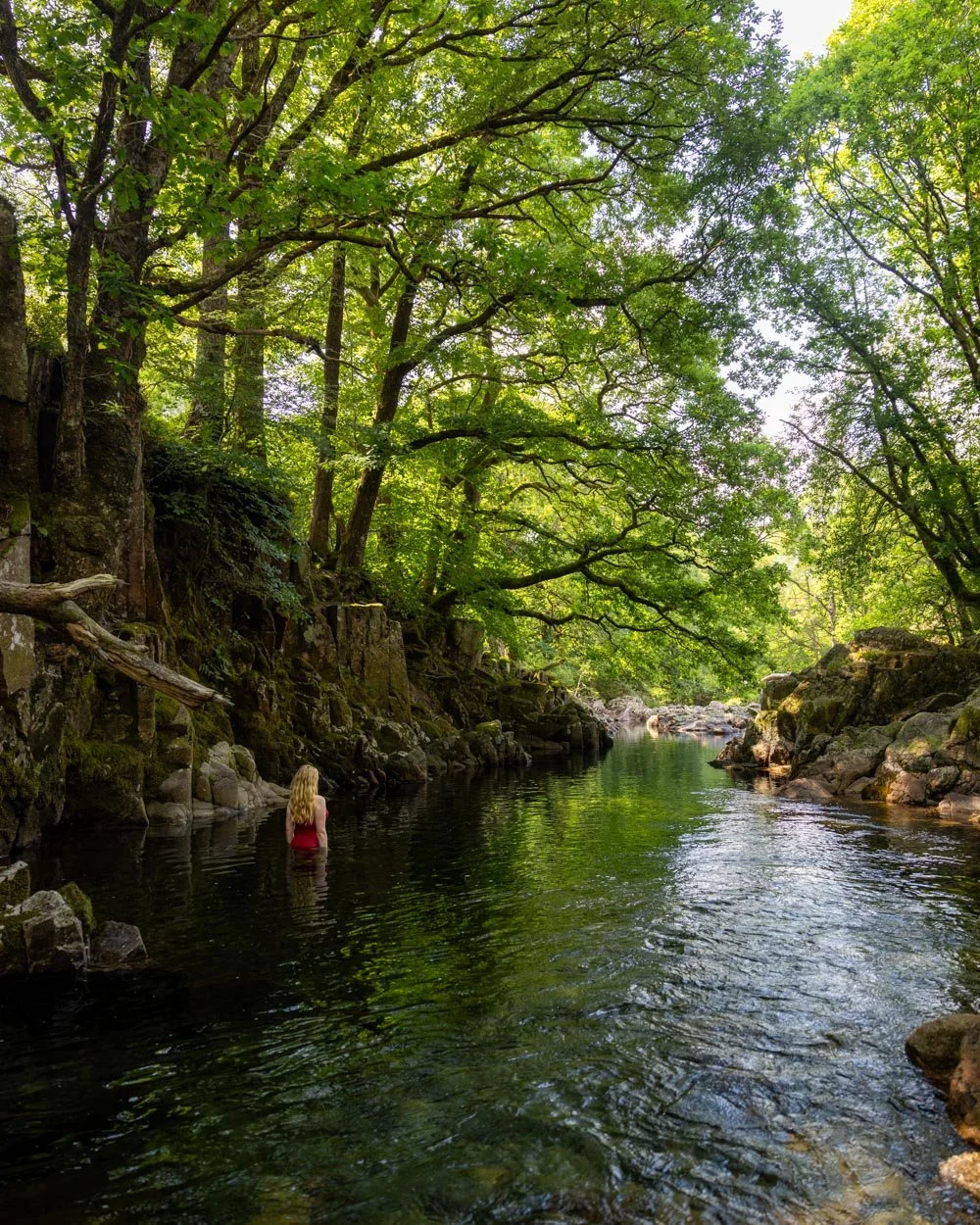 Gill Force: a secluded wild swimming spot in Eskdale — Walk My World