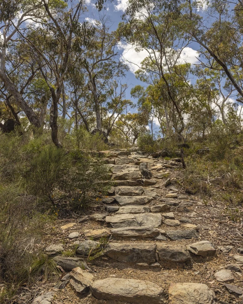 The Falls Water Falls: the most beautiful wild swimming spot in Orange ...