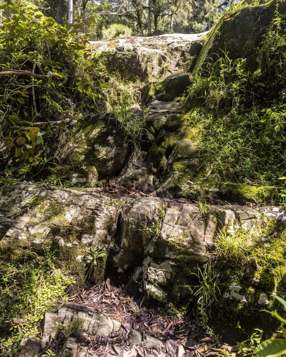 Tips for visiting the spectacular Ladies Well swimming holes — Walk My ...