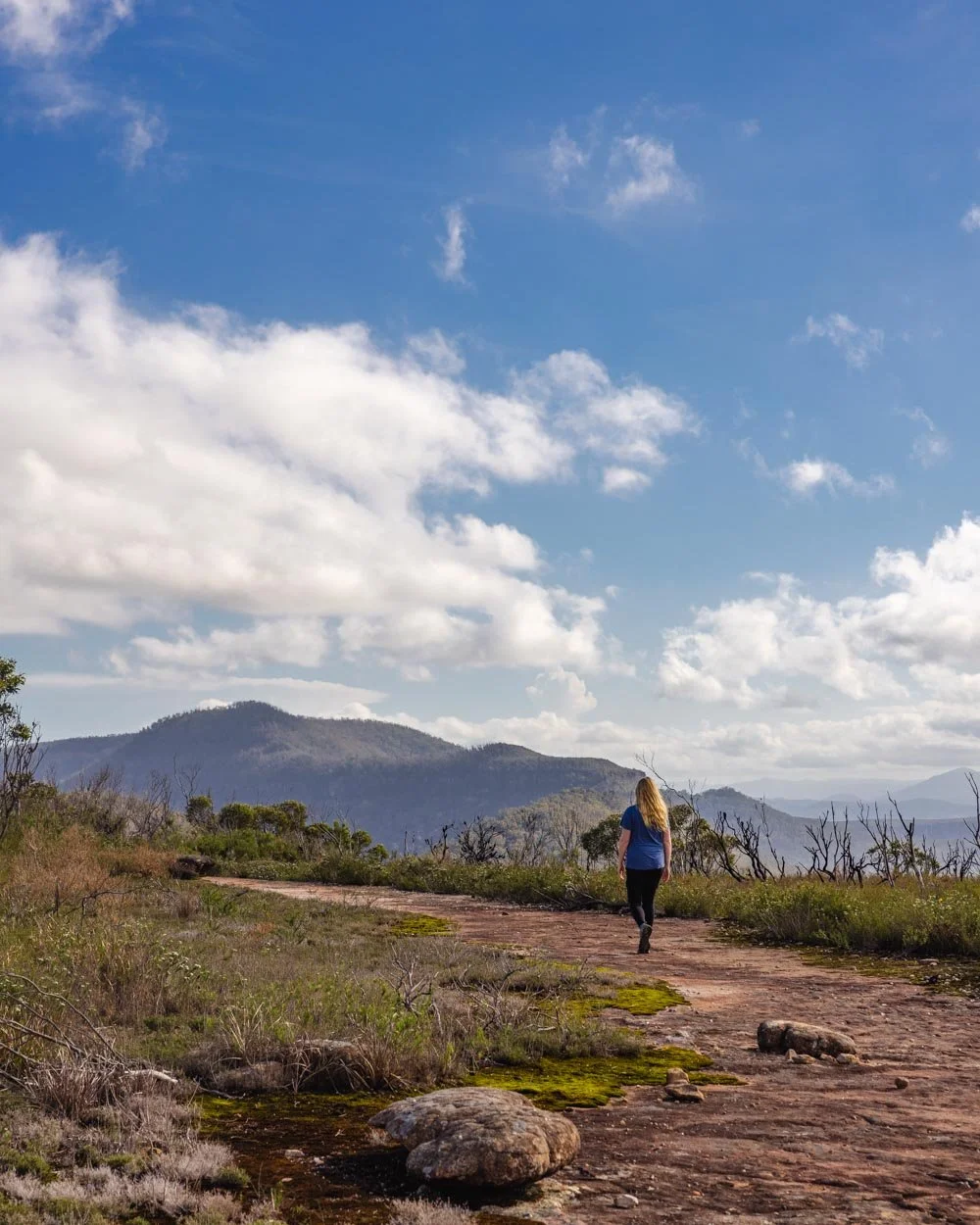 Mount Bushwalker: sunset views and hidden cliff top infinity pools ...
