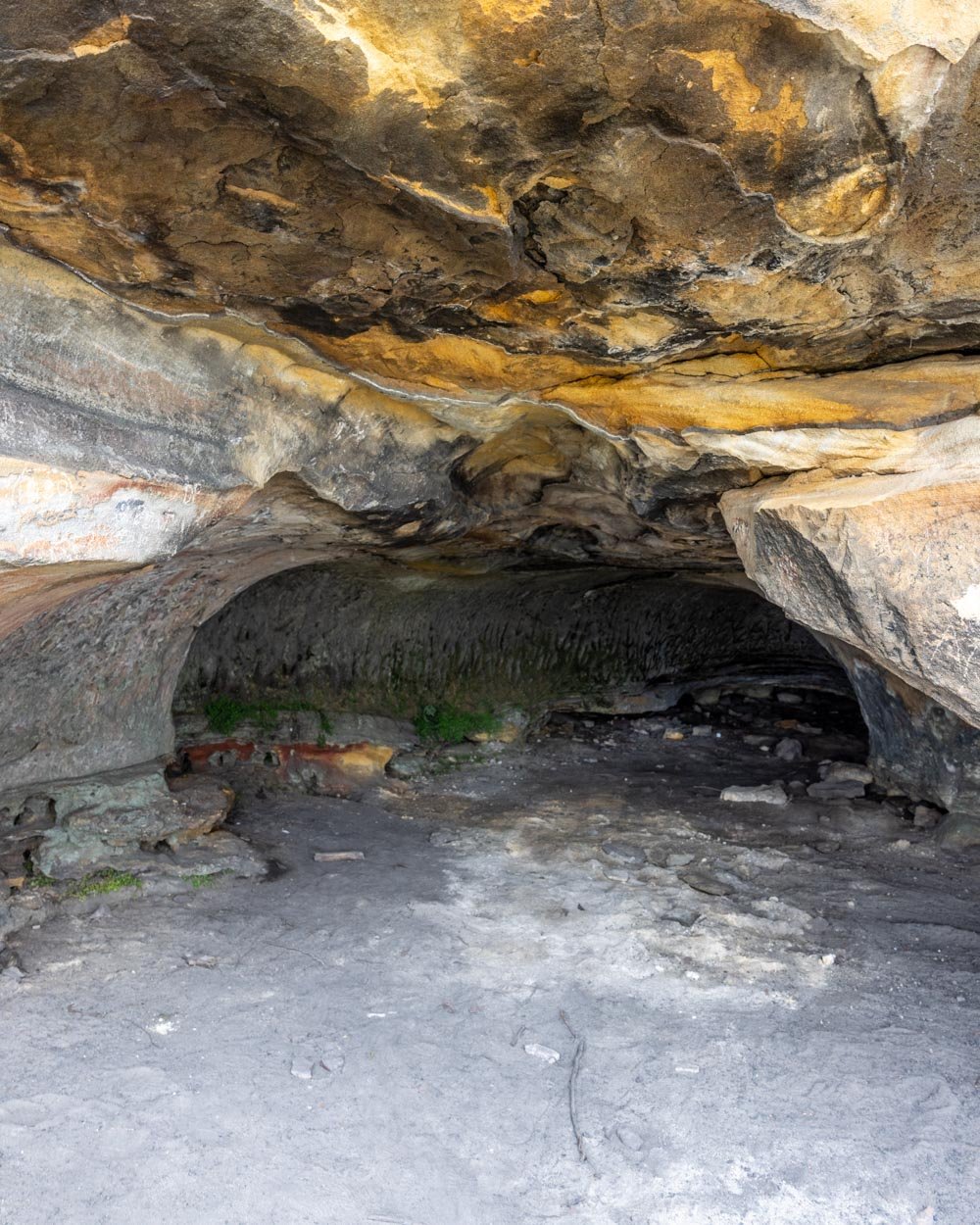 17 Unmissable things to do in Bilpin [for a weekend to remember] — Walk ...