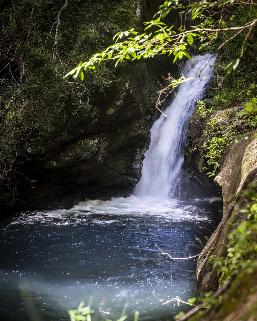 Potoroo Falls: a stunning gorge waterfall swimming hole near Barrington ...
