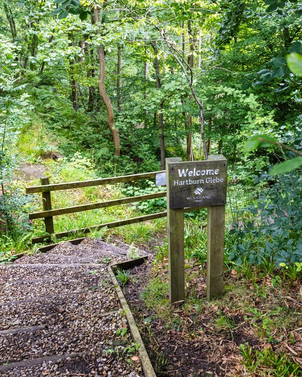 Hartburn Grotto: Northumberland's secret Hobbit Hole — Walk My World