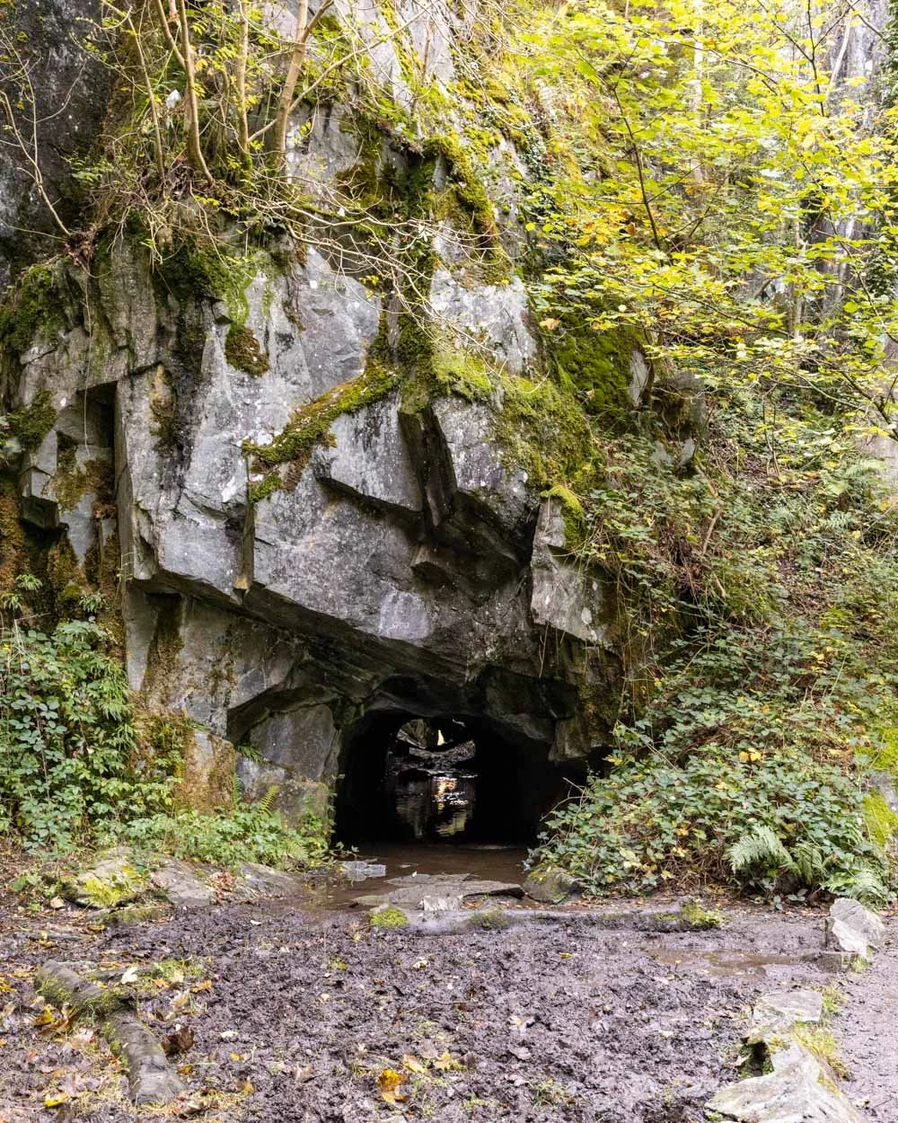 Cathedral Cave: the short route, just a 15 minute walk — Walk My World