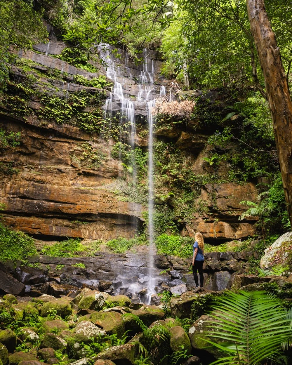 Gap Creek Falls: a spectacular rainforest waterfall on the Central ...