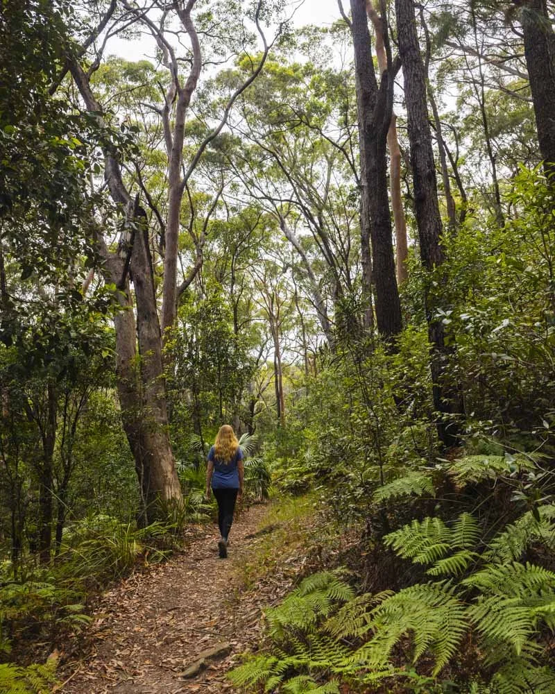Pearly Ponds: a family friendly swimming hole on the Central Coast ...