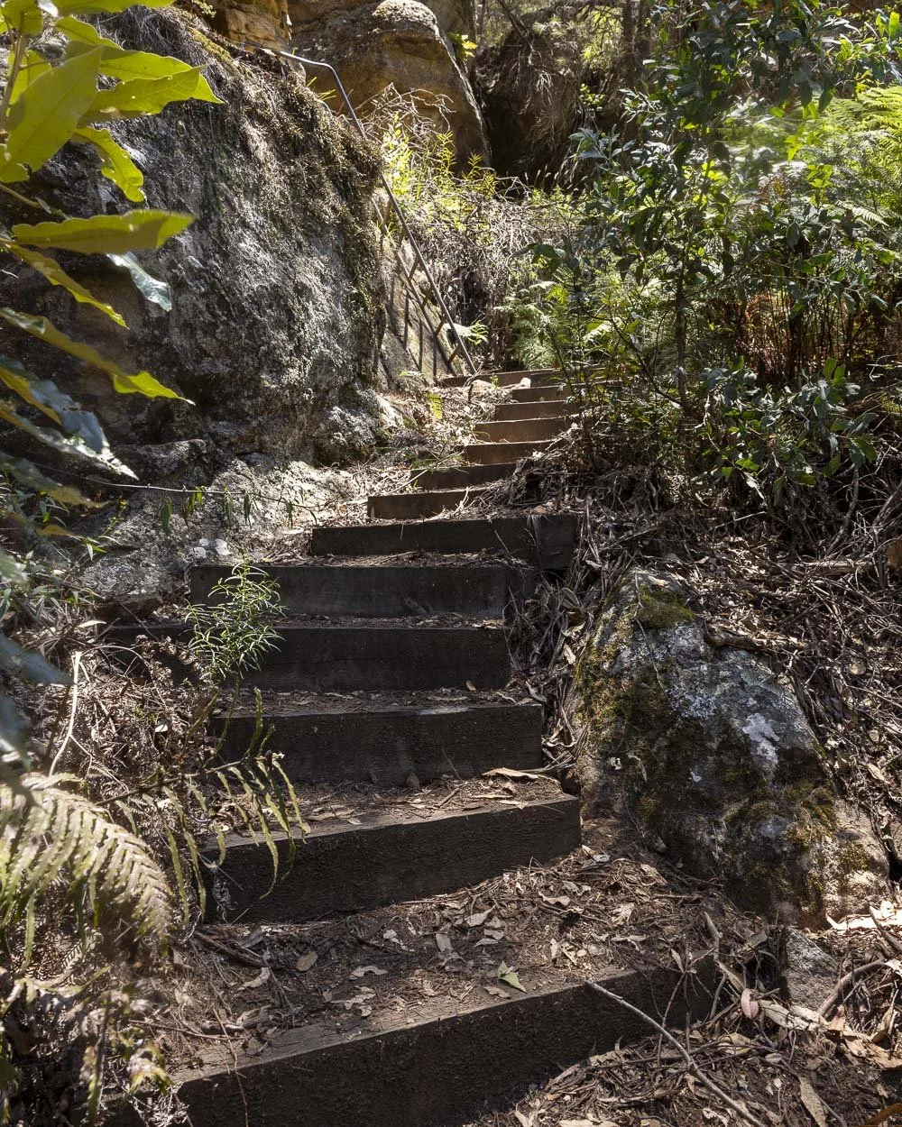 A wild walk into the spectacular Nattai Gorge via the Incline — Walk My ...
