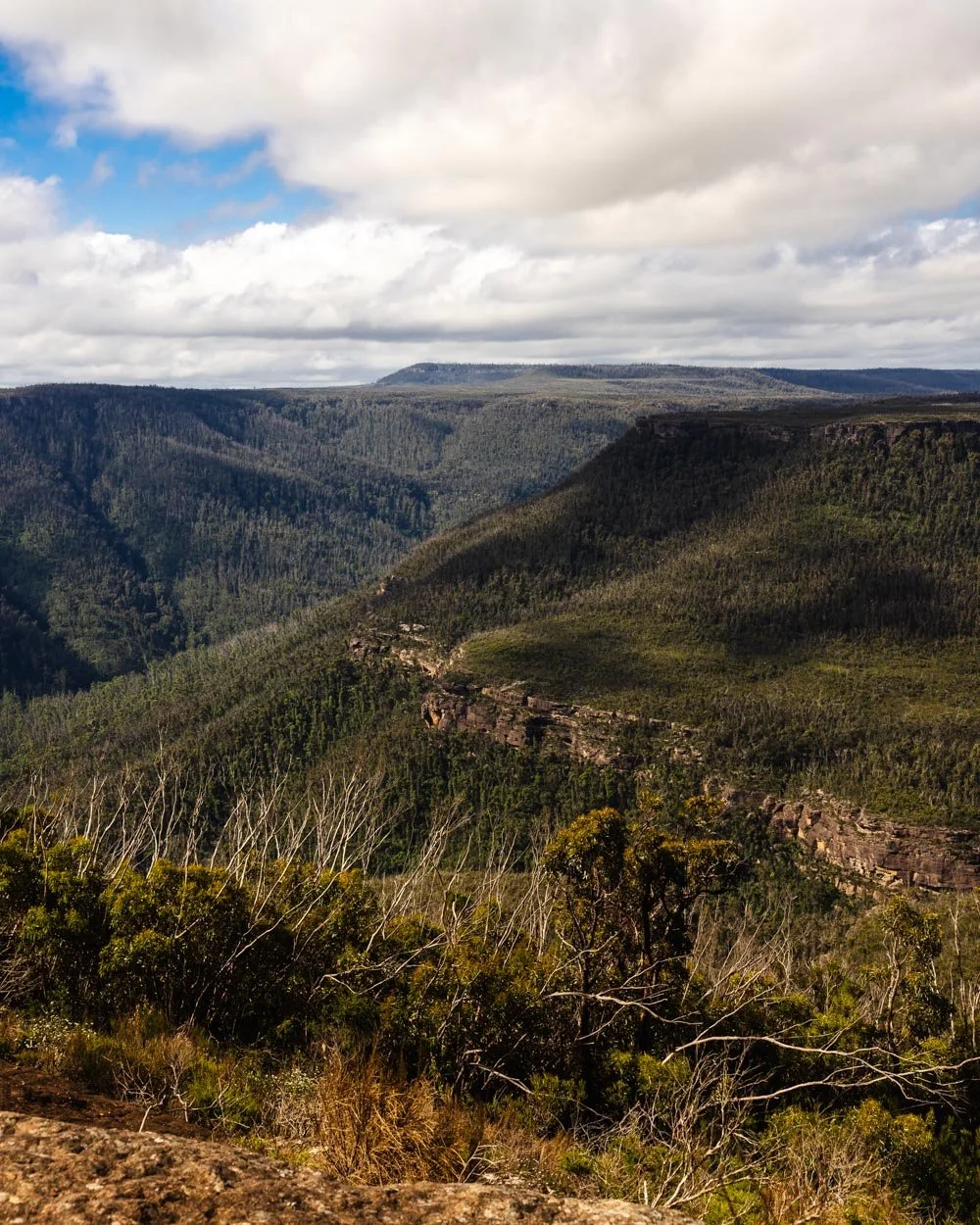 Mount Bushwalker: sunset views and hidden cliff top infinity pools ...