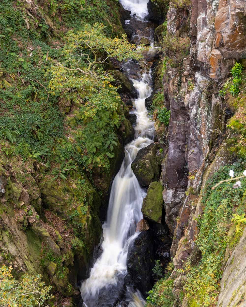 Stanley Ghyll Waterfall: one of the most atmospheric in the Lake ...