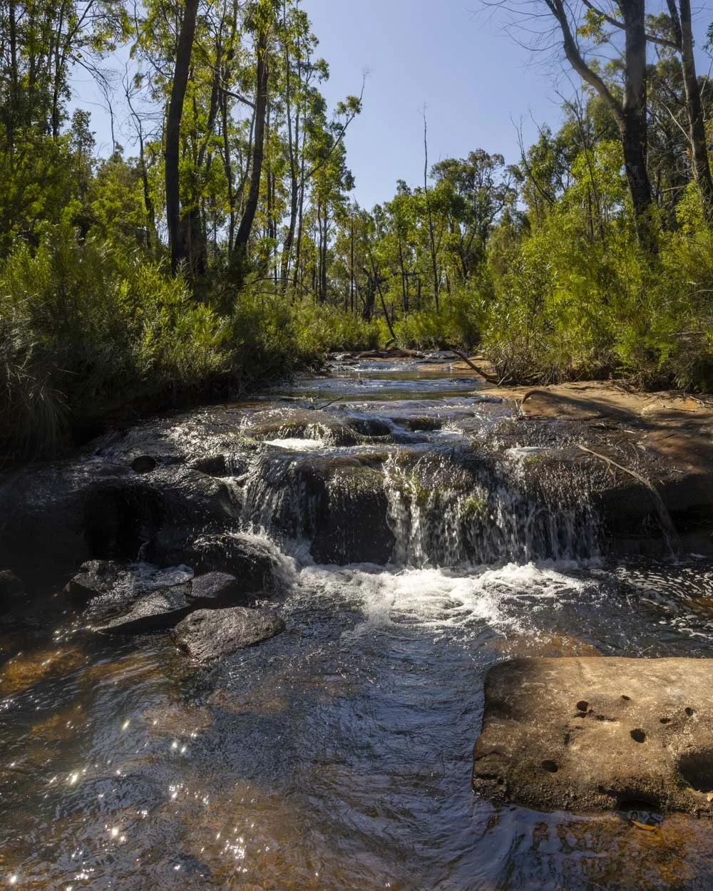 Berrara Waterholes: two stunning quiet swimming holes near Jervis Bay ...