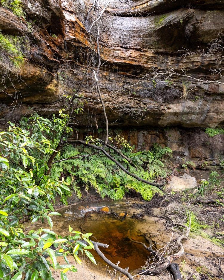 Psyn Cave: Katoomba's secret camping cave — Walk My World